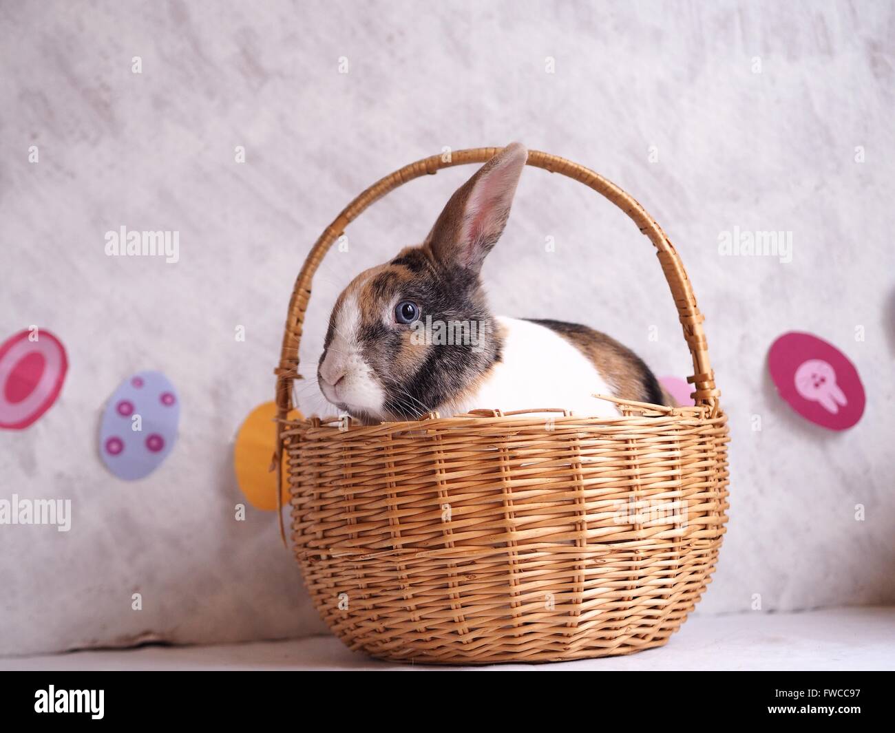 Easter bunny in a basket Stock Photo - Alamy