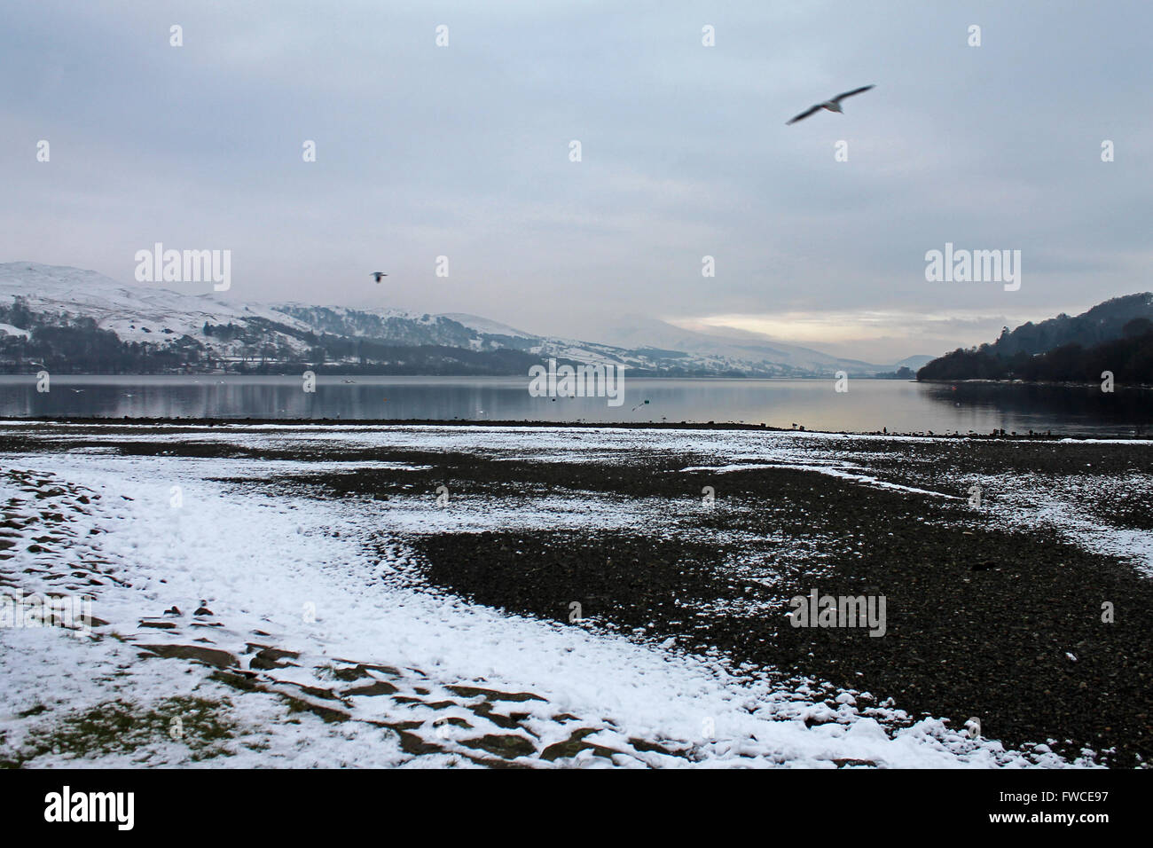 Bala lake after snowfall in early morning January Wales Stock Photo - Alamy
