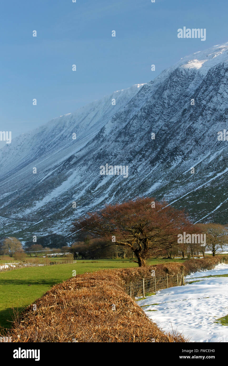 Mynydd cedris hi-res stock photography and images - Alamy