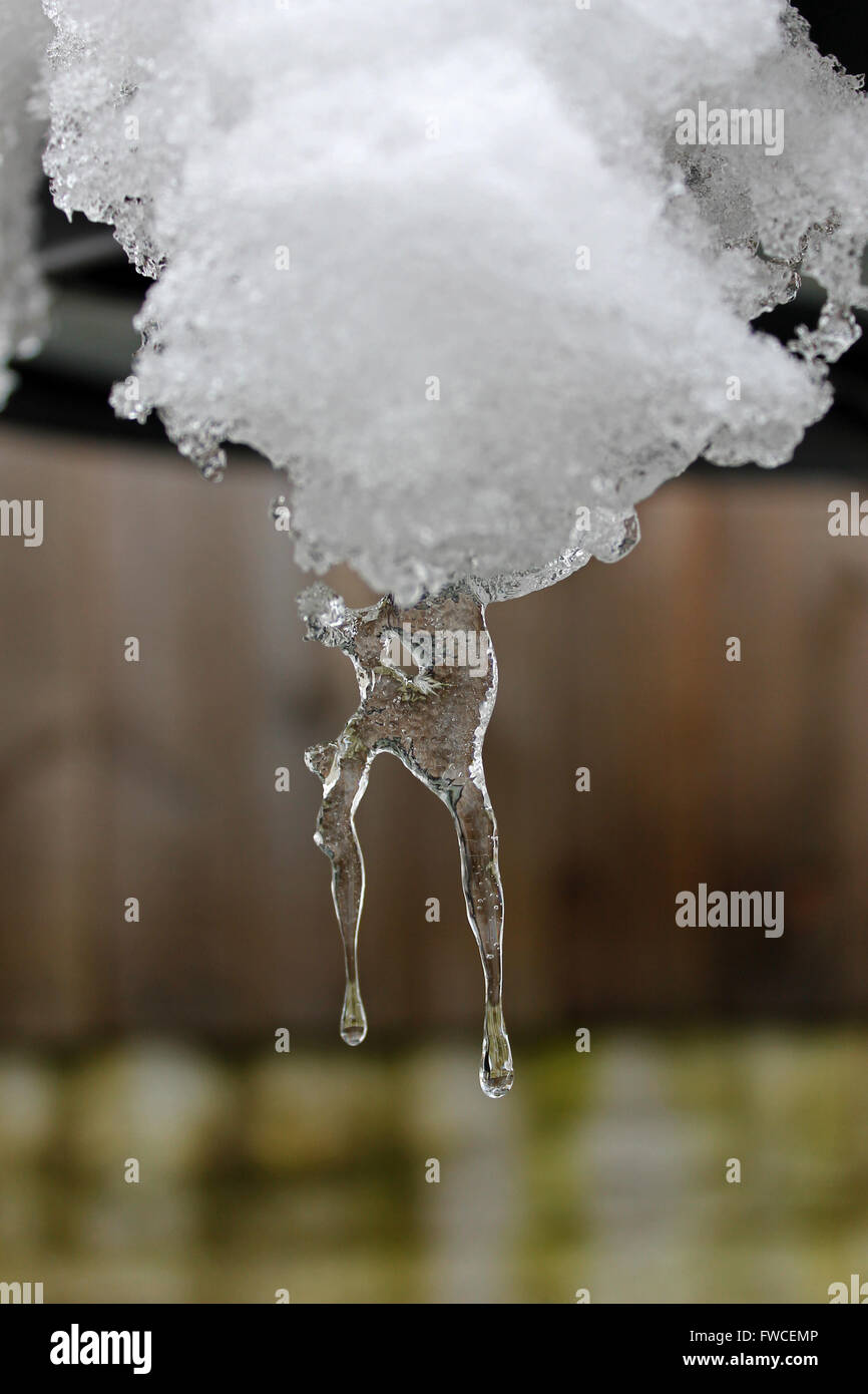 Icicle formed from melting snow covering a patio table Stock Photo - Alamy