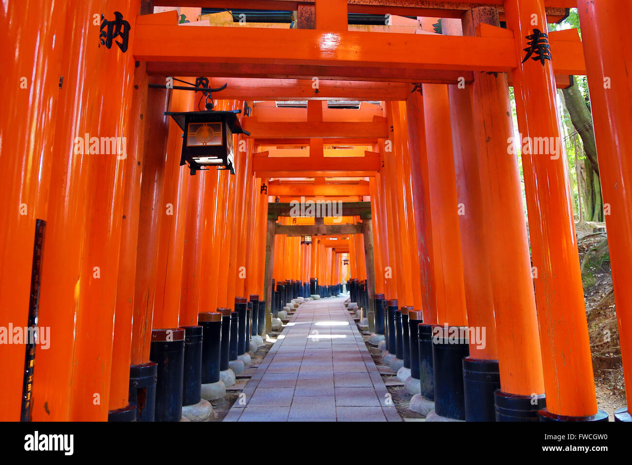 Red torii gate tunnel at Fushimi Inari Shinto shrine in Kyoto, Japan ...