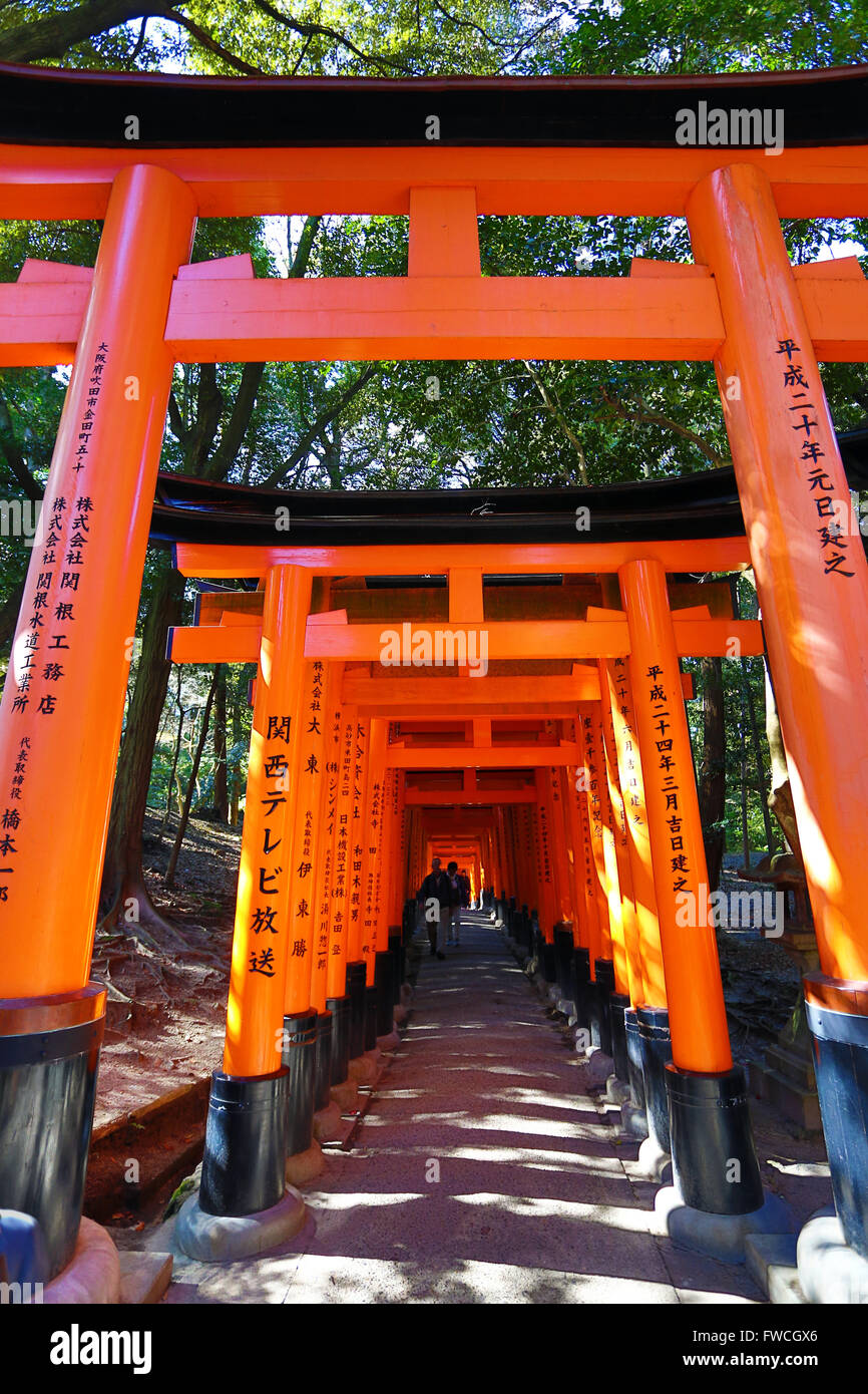 Red torii gate tunnel at Fushimi Inari Shinto shrine in Kyoto, Japan ...