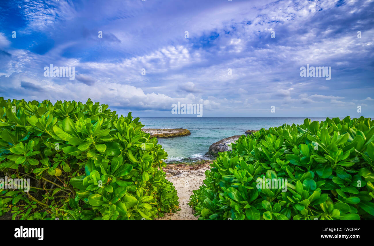 At the beach, Rivera Maya Mexico Stock Photo - Alamy