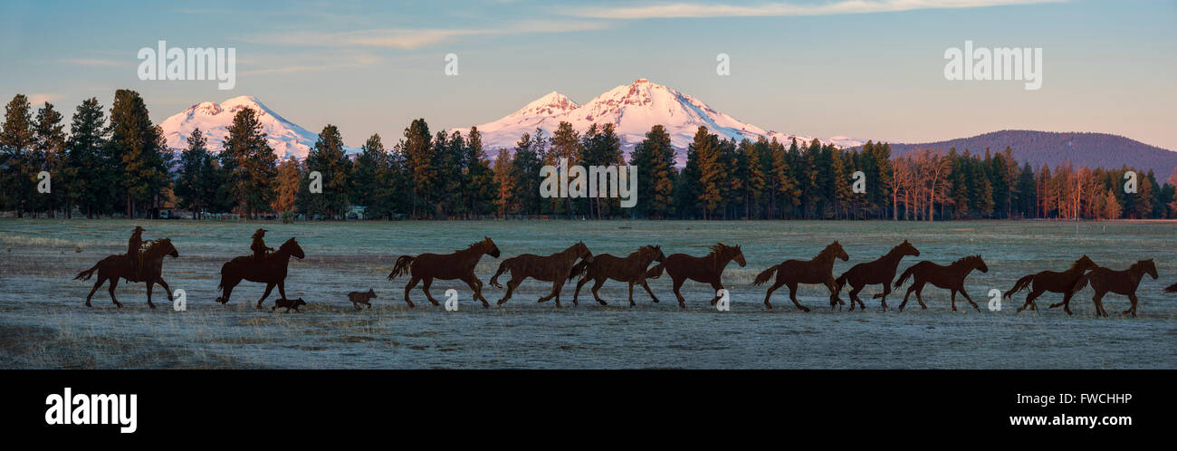 USA, Oregon, Deschutes County, Cascade Mountains, Sisters, Horse ...