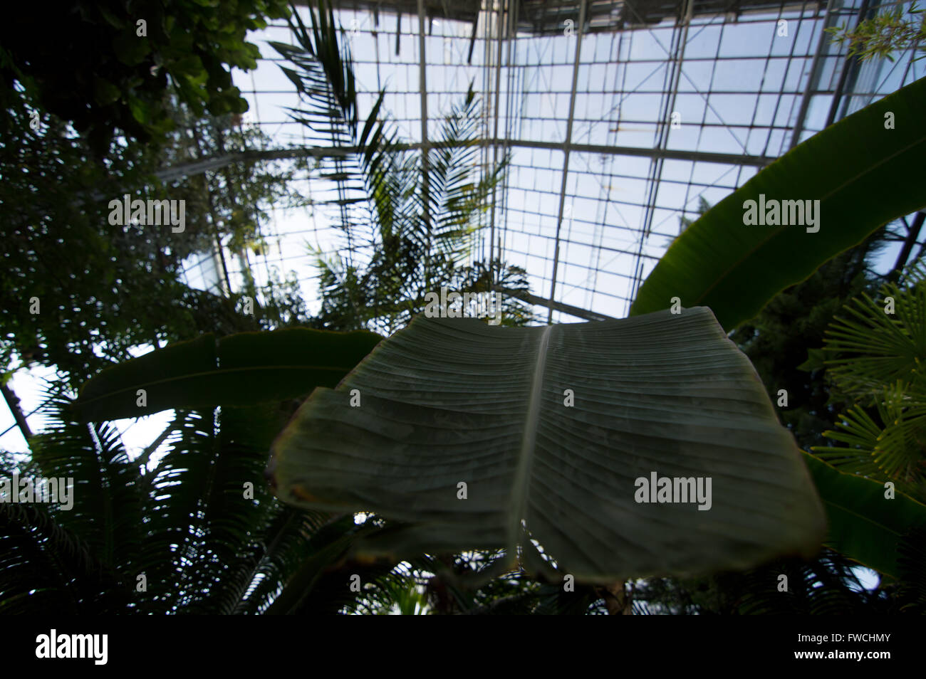 Abstract greenhouse hi-res stock photography and images - Alamy