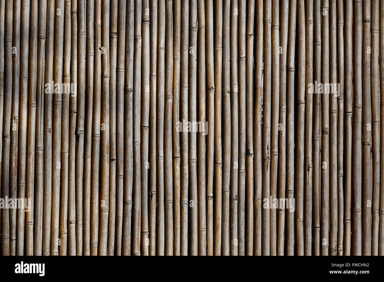 bamboo wall texture background Stock Photo - Alamy