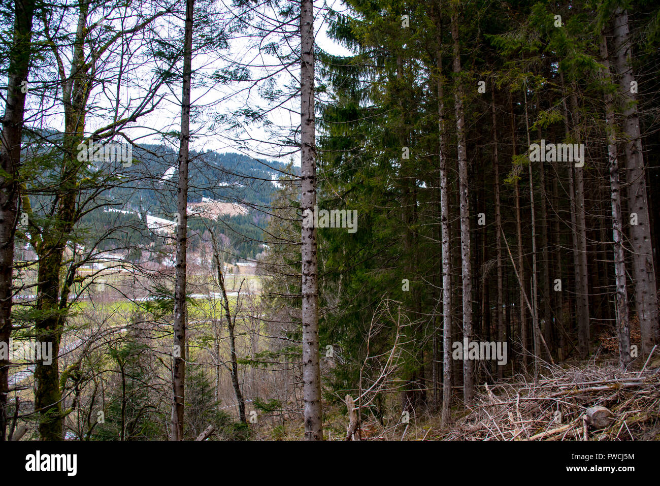 Ladscape spring hi-res stock photography and images - Alamy