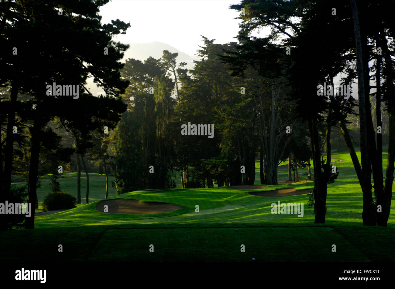 Presidio Golf Course High Resolution Stock Photography and Images - Alamy