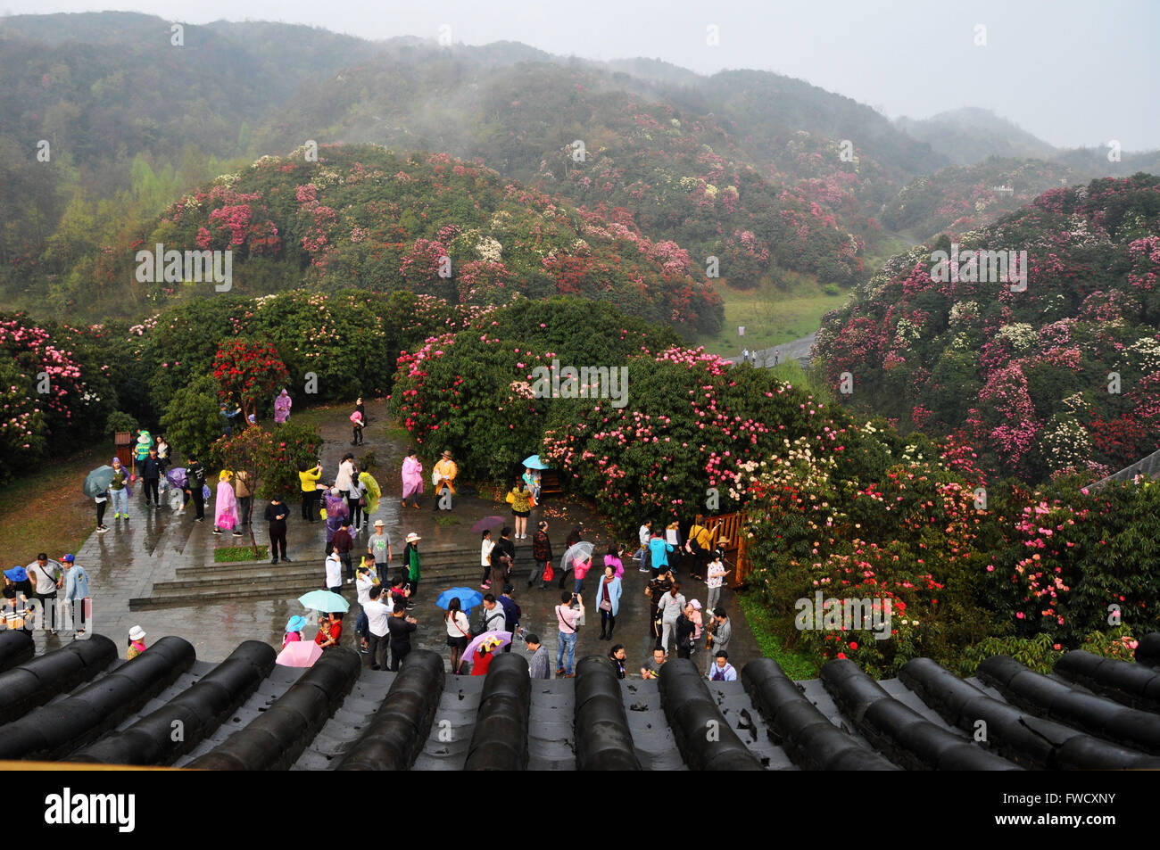 Bijie, China's Guizhou Province. 4th Apr, 2016. Tourists visit the ...