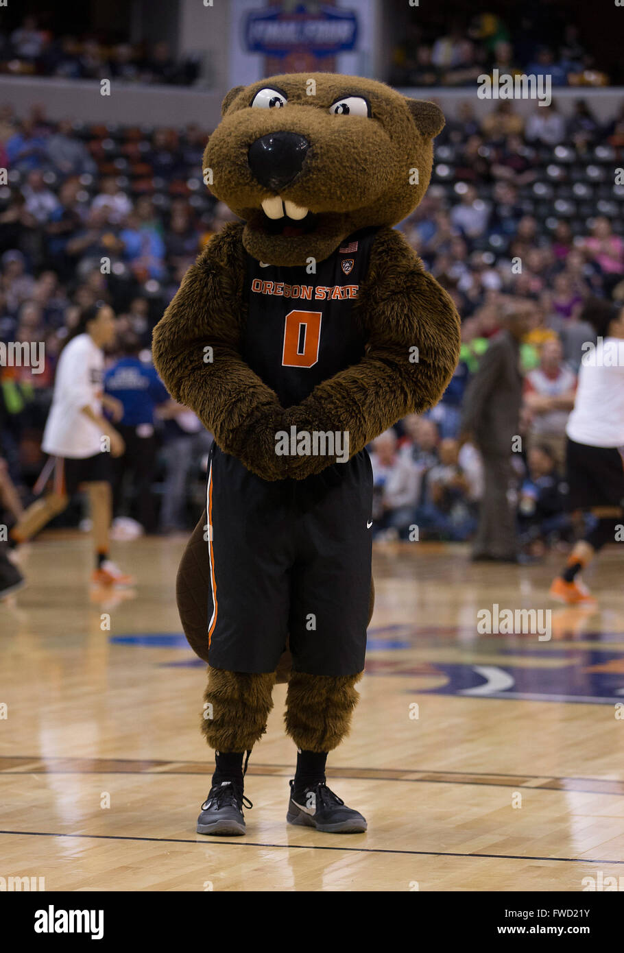 51 0047 hi-res stock photography and images - Alamy