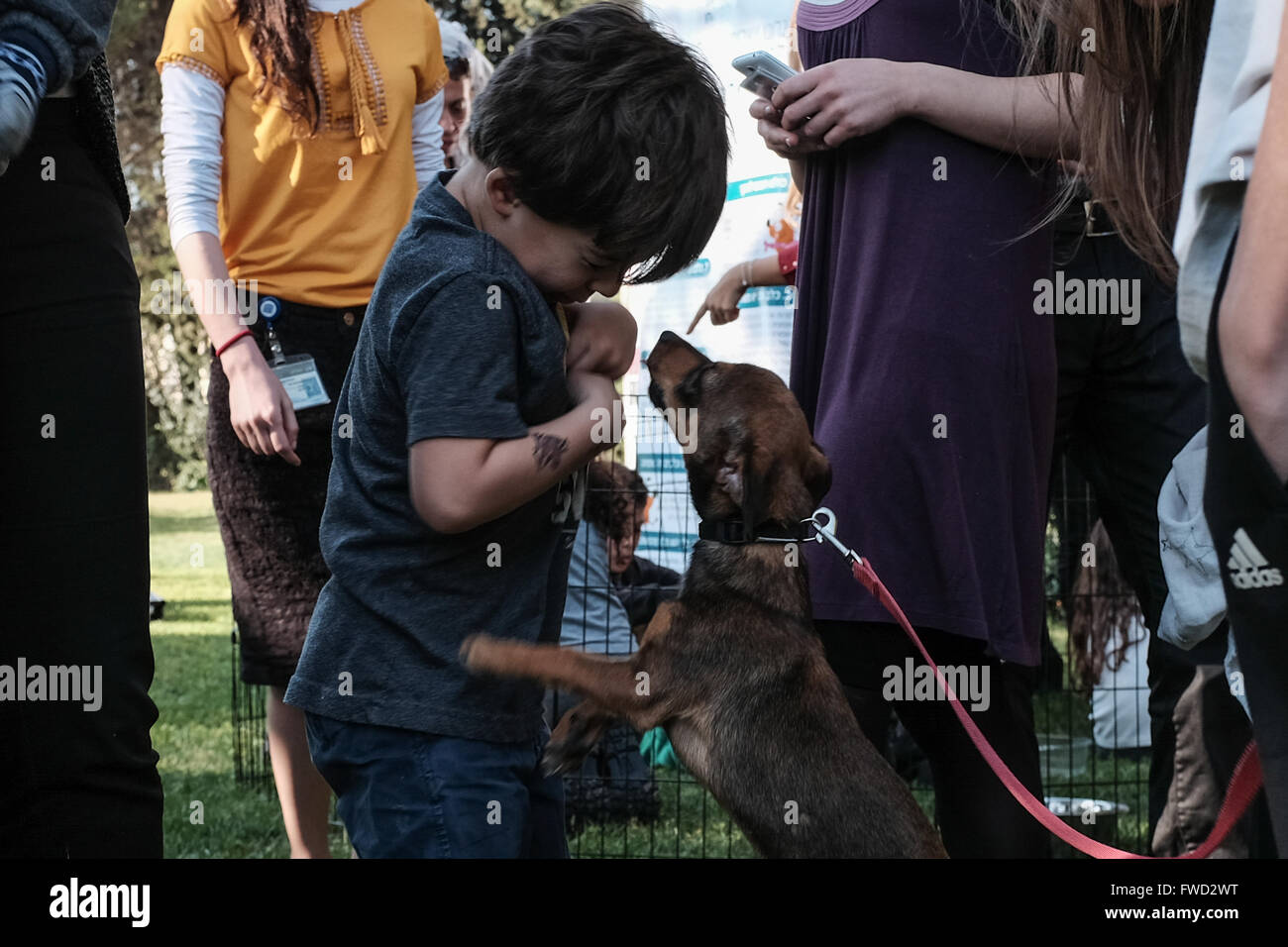 Middle east boy puppy hi-res stock photography and images - Alamy