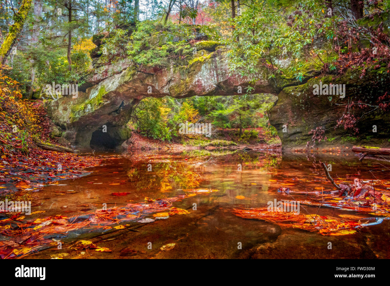 The colors of autumn fill the creek as it flows under the natural arch ...
