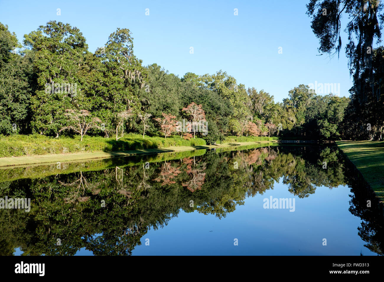 Reflection pool in gardens of Middleton Place, Charleston, South ...