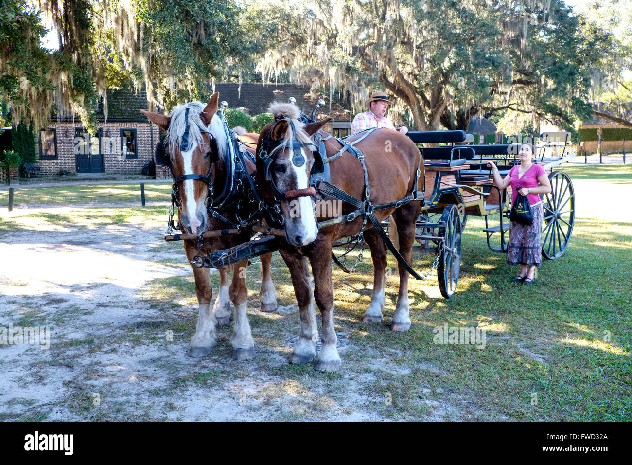 Horse-drawn carriage tour at Middleton Place, Charleston, South ...