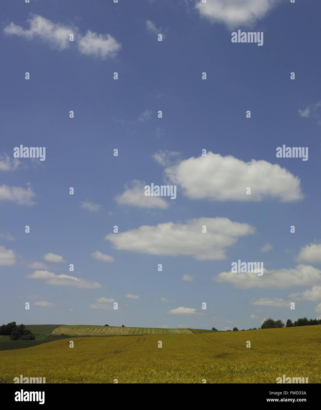 Summer sky with nice clouds Stock Photo - Alamy