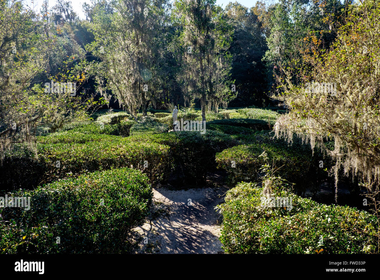 Maze at Magnolia Plantation and Gardens, Charleston, South Carolina ...