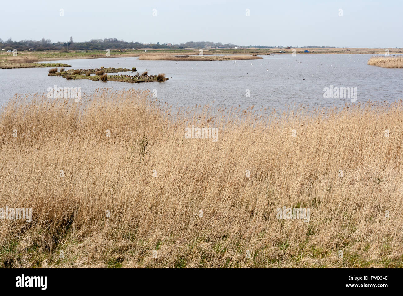 Swale Estuary, Thames, Kent, England Stock Photo - Alamy