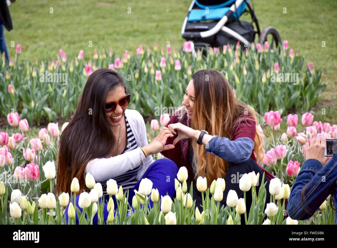 Two girls posing for a photo in the tulip garden in DC at the National ...