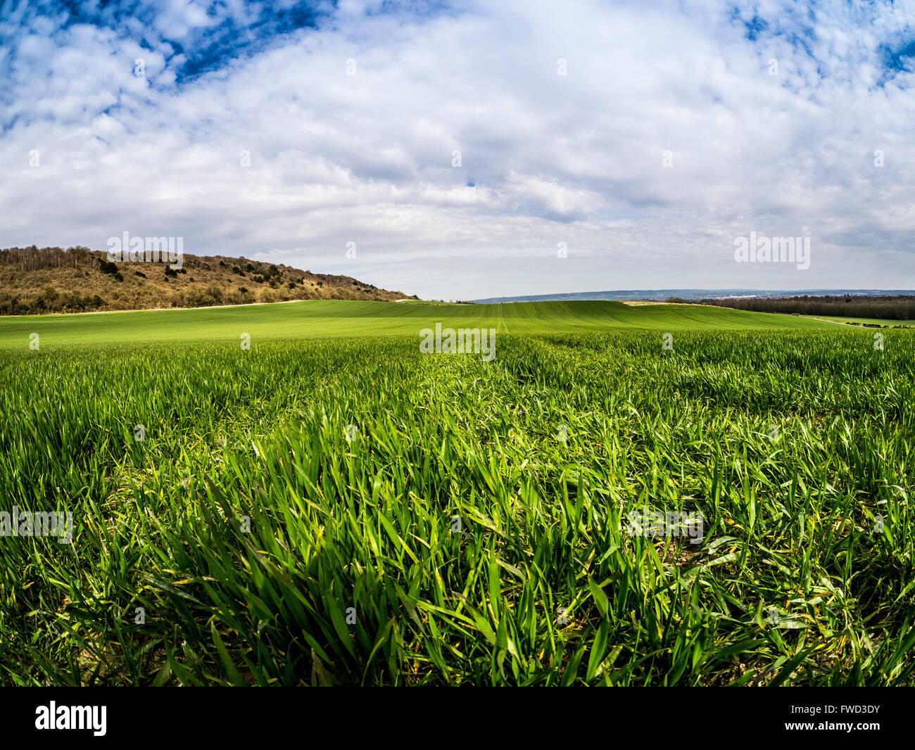 Coldrum hi-res stock photography and images - Alamy