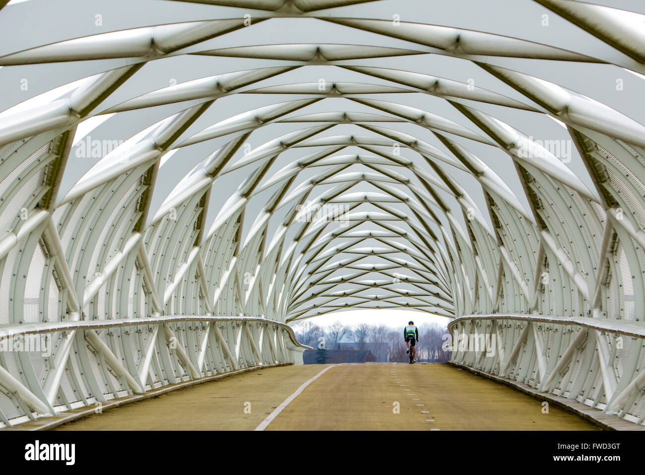 Modern architecture Bike path and footbridge De Groene Verbindingin ...