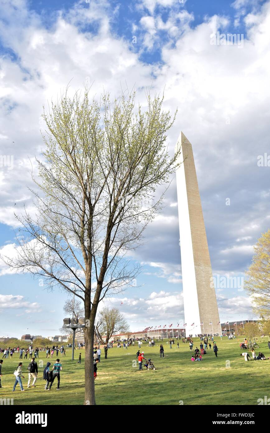 Washington monument in DC Stock Photo - Alamy