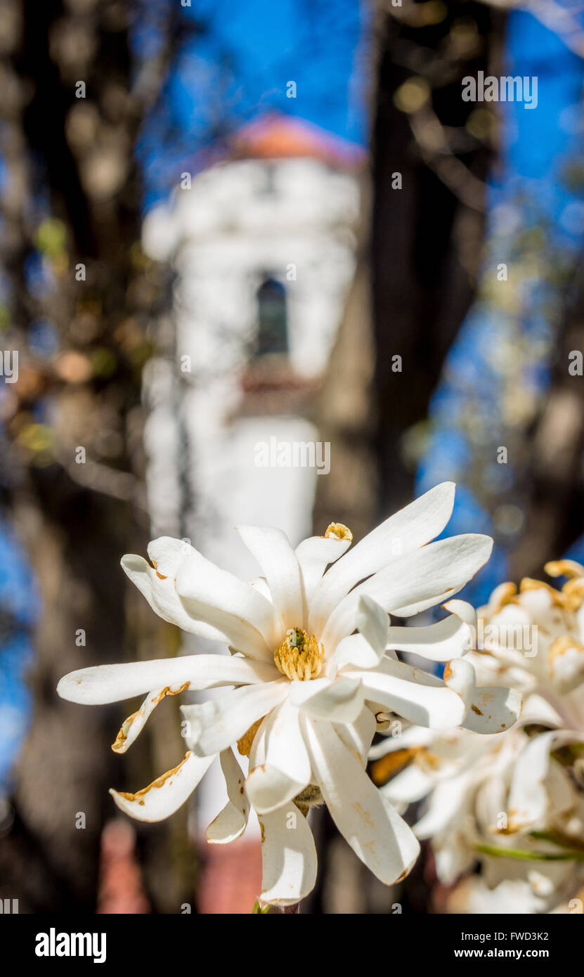 Spring train hi-res stock photography and images - Alamy