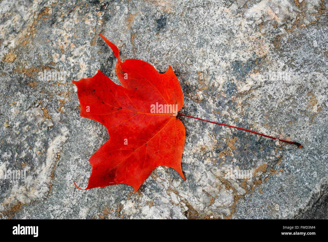Changing red rock hi-res stock photography and images - Alamy