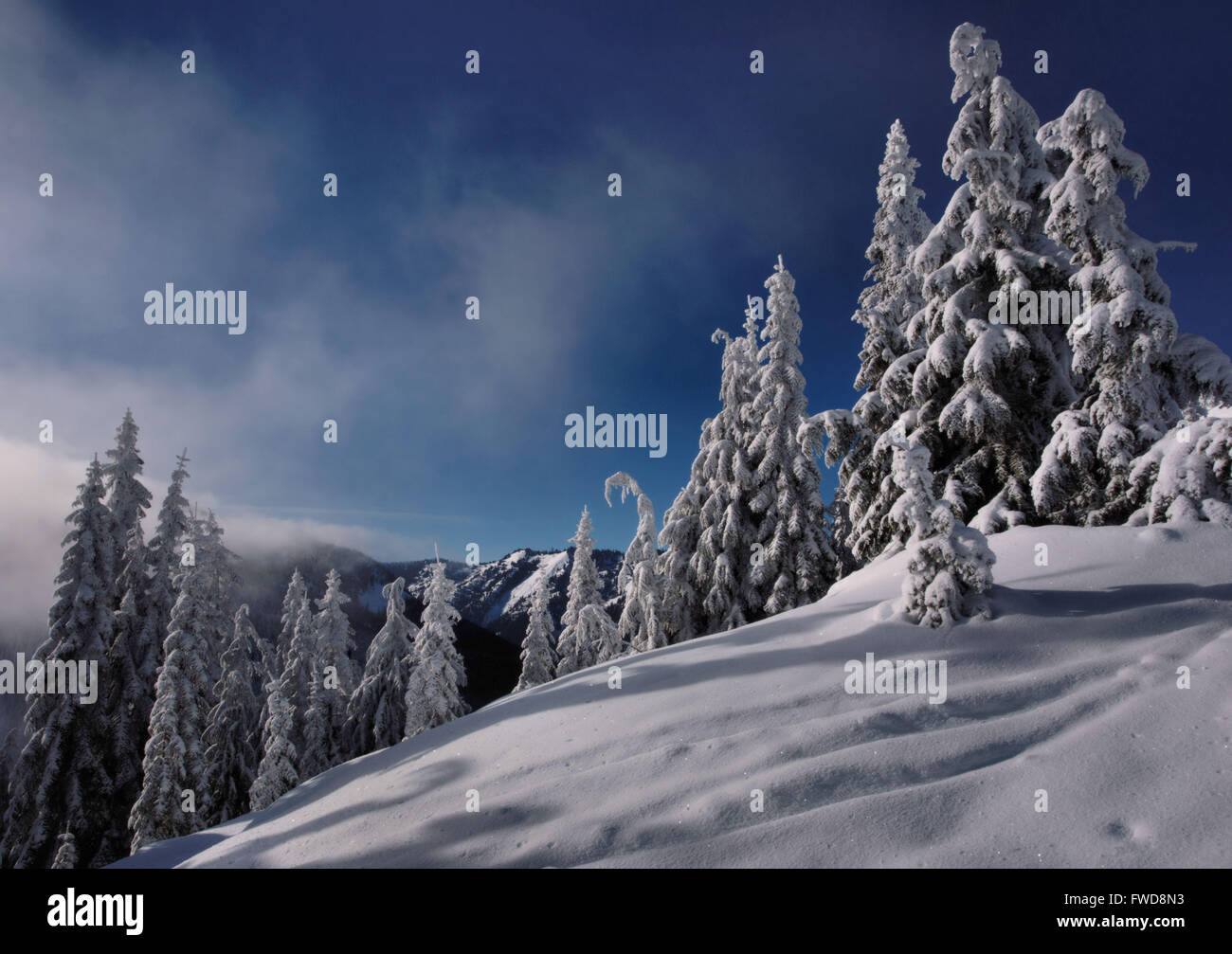 Stevens Pass in winter Stock Photo - Alamy