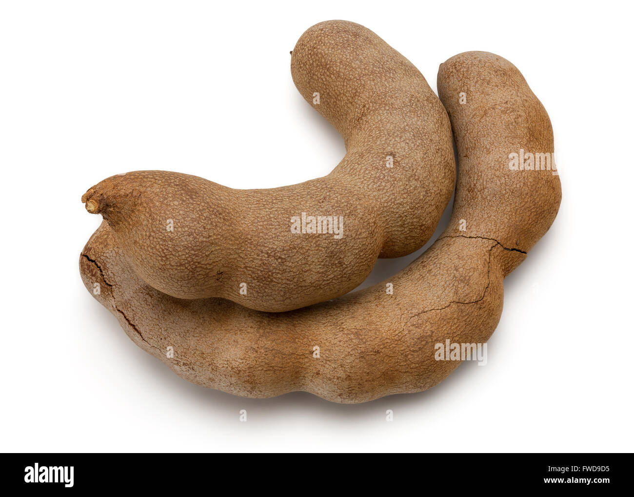 Dried Tamarind Fruit Isolated on White Background in Full Depth of ...