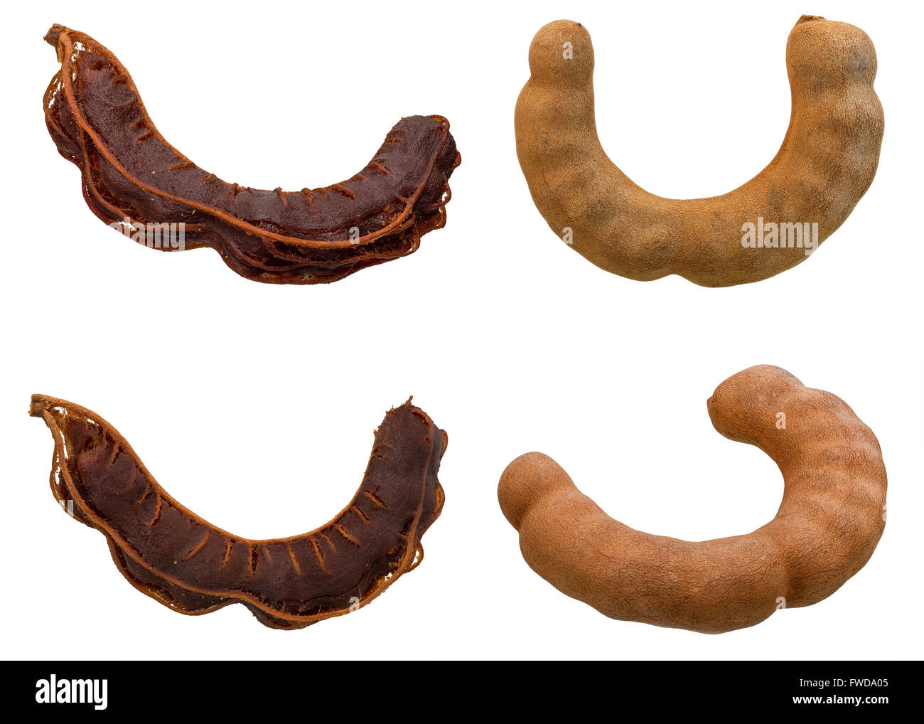 The set of dried tamarind fruit on white background in full depth of ...