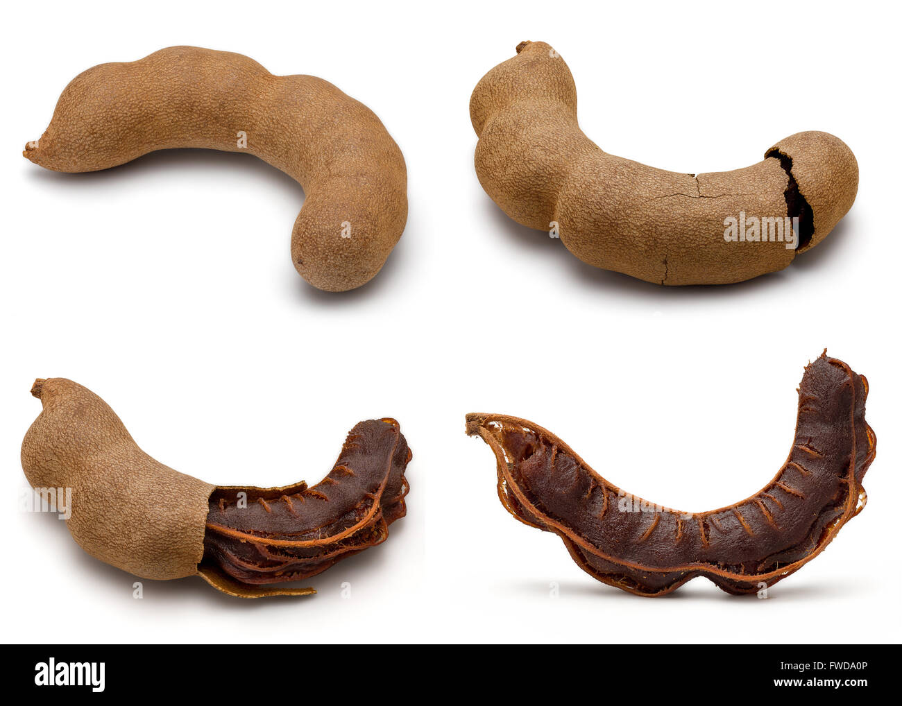 The set of dried tamarind fruit on white background in full depth of ...