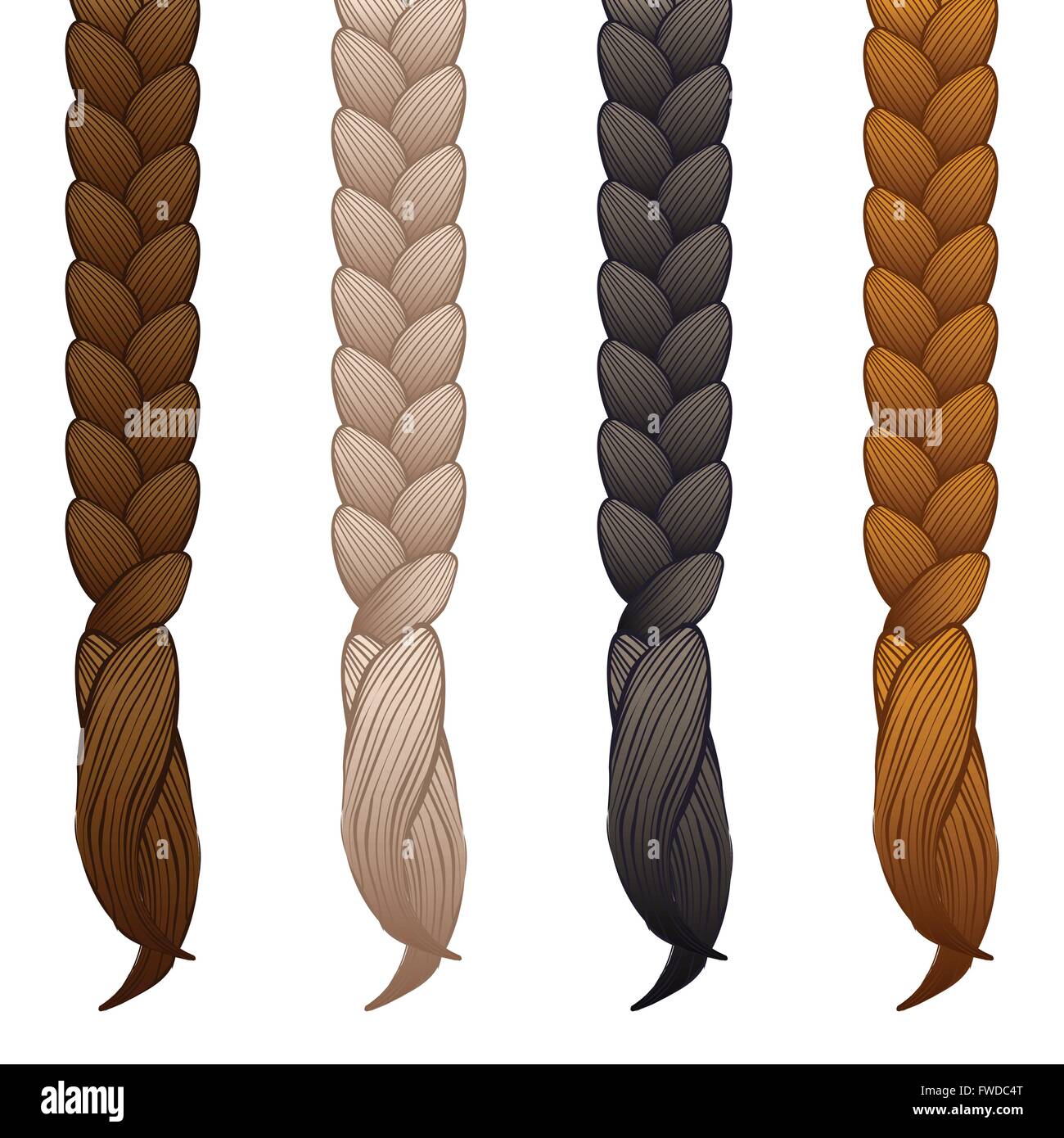 braids isolated on white background - vector illustration Stock Vector ...