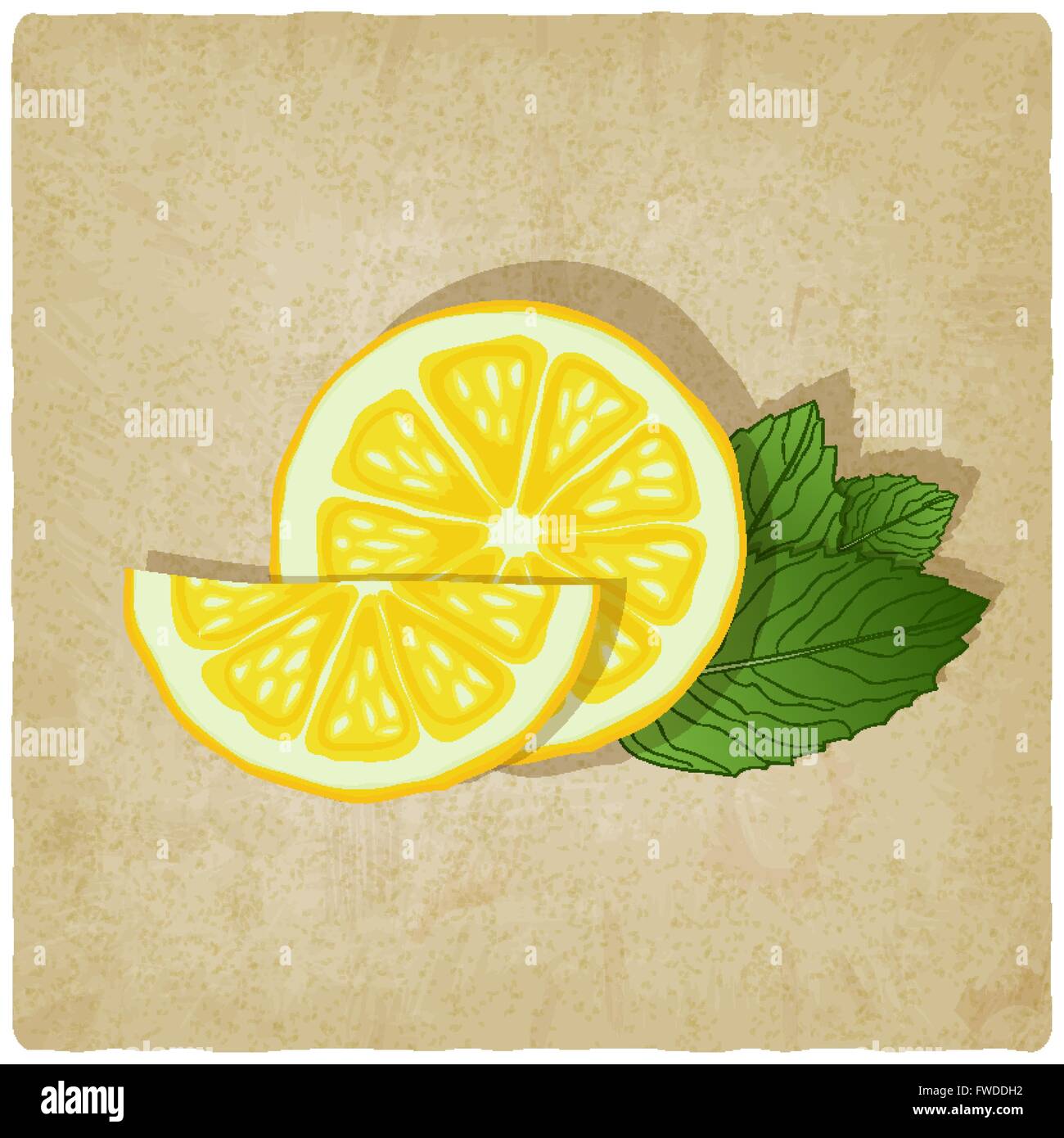 Lemon vector illustration Stock Vector Images - Alamy