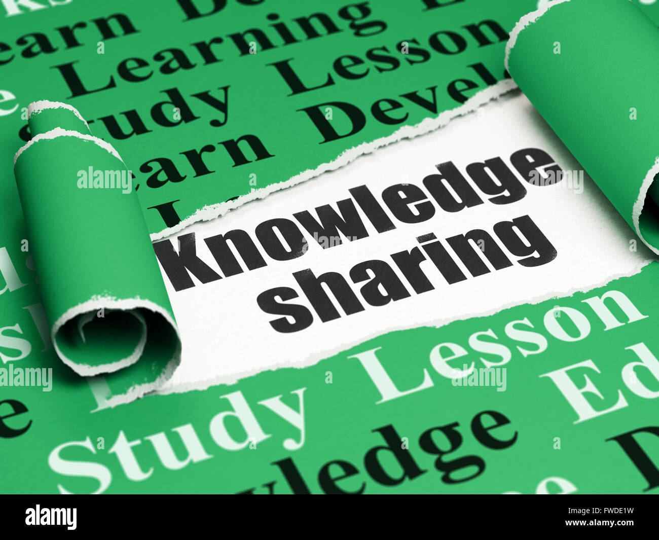 Learning concept: black text Knowledge Sharing under the piece of torn ...