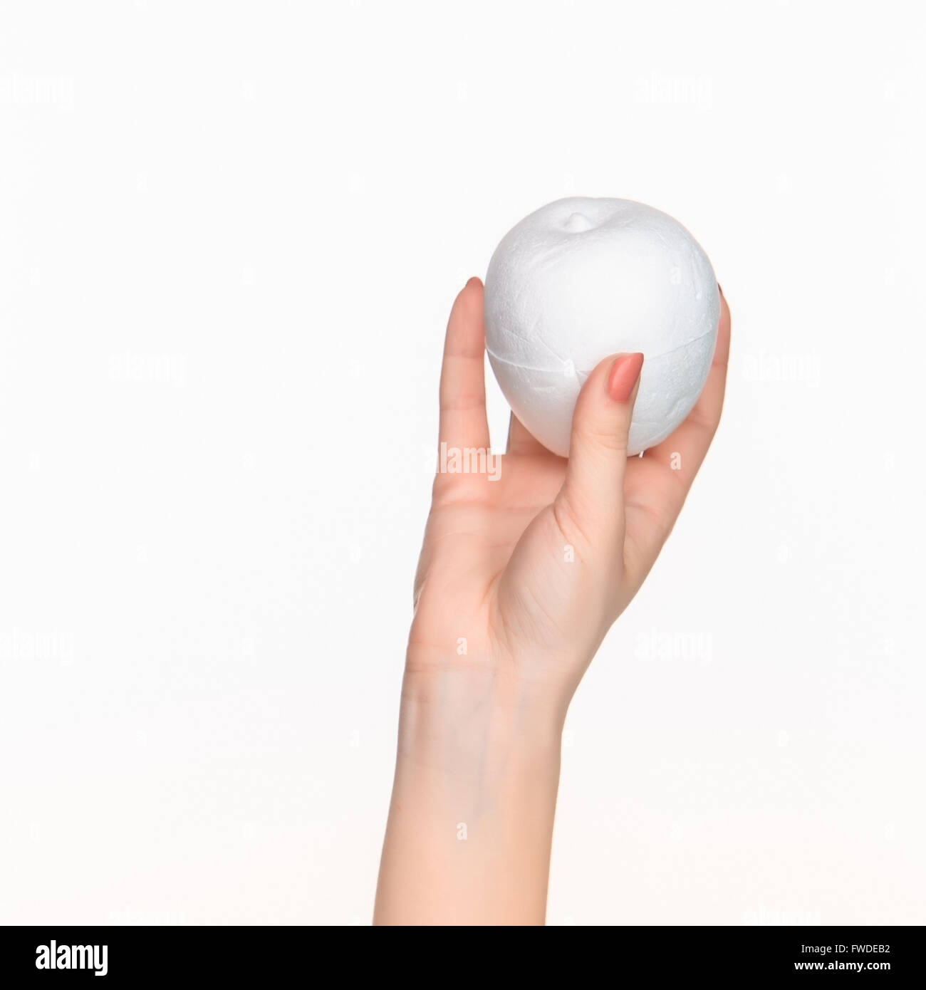 The female hand holding white blank styrofoam oval Stock Photo - Alamy