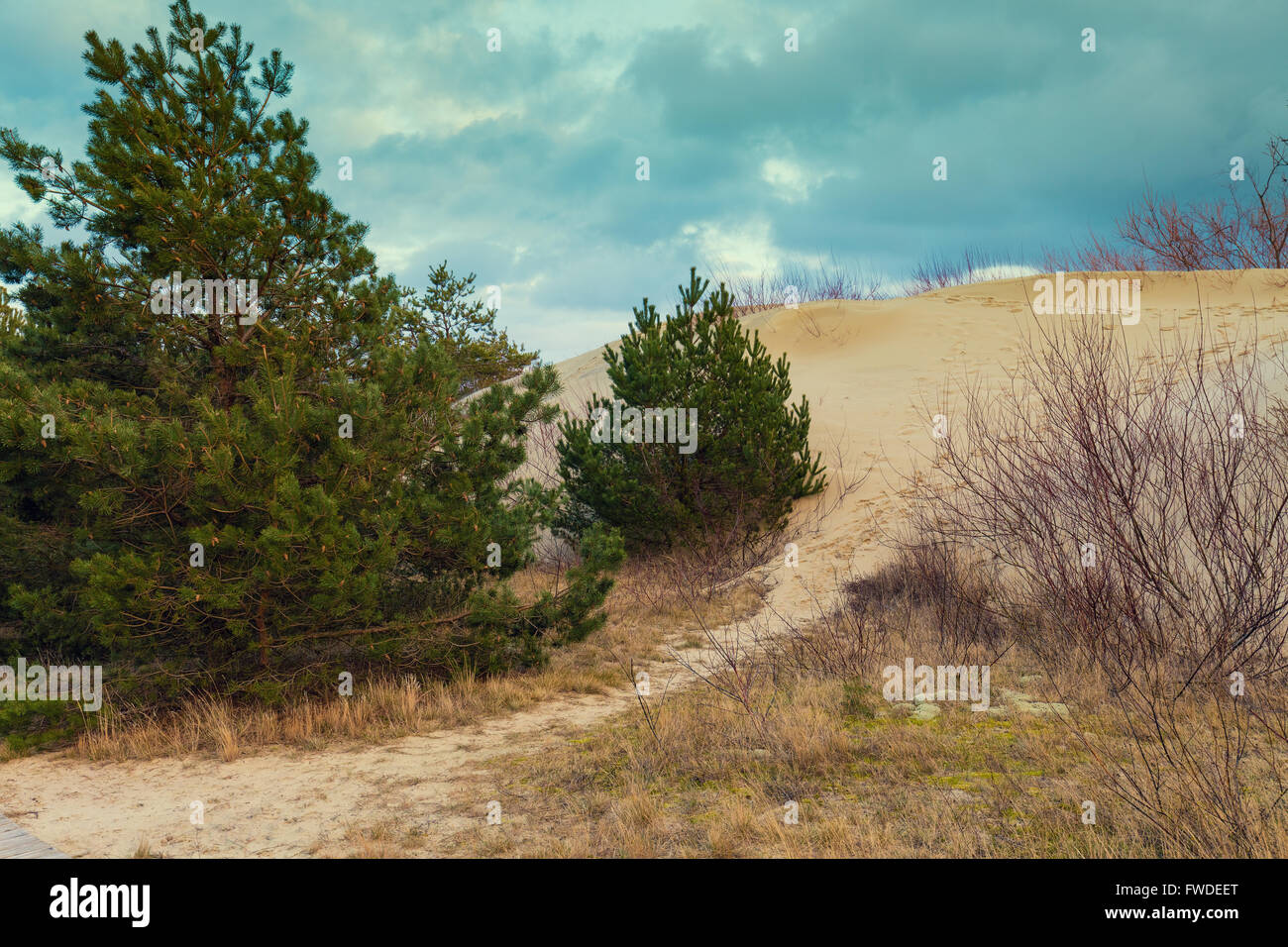 Dune slope hi-res stock photography and images - Alamy