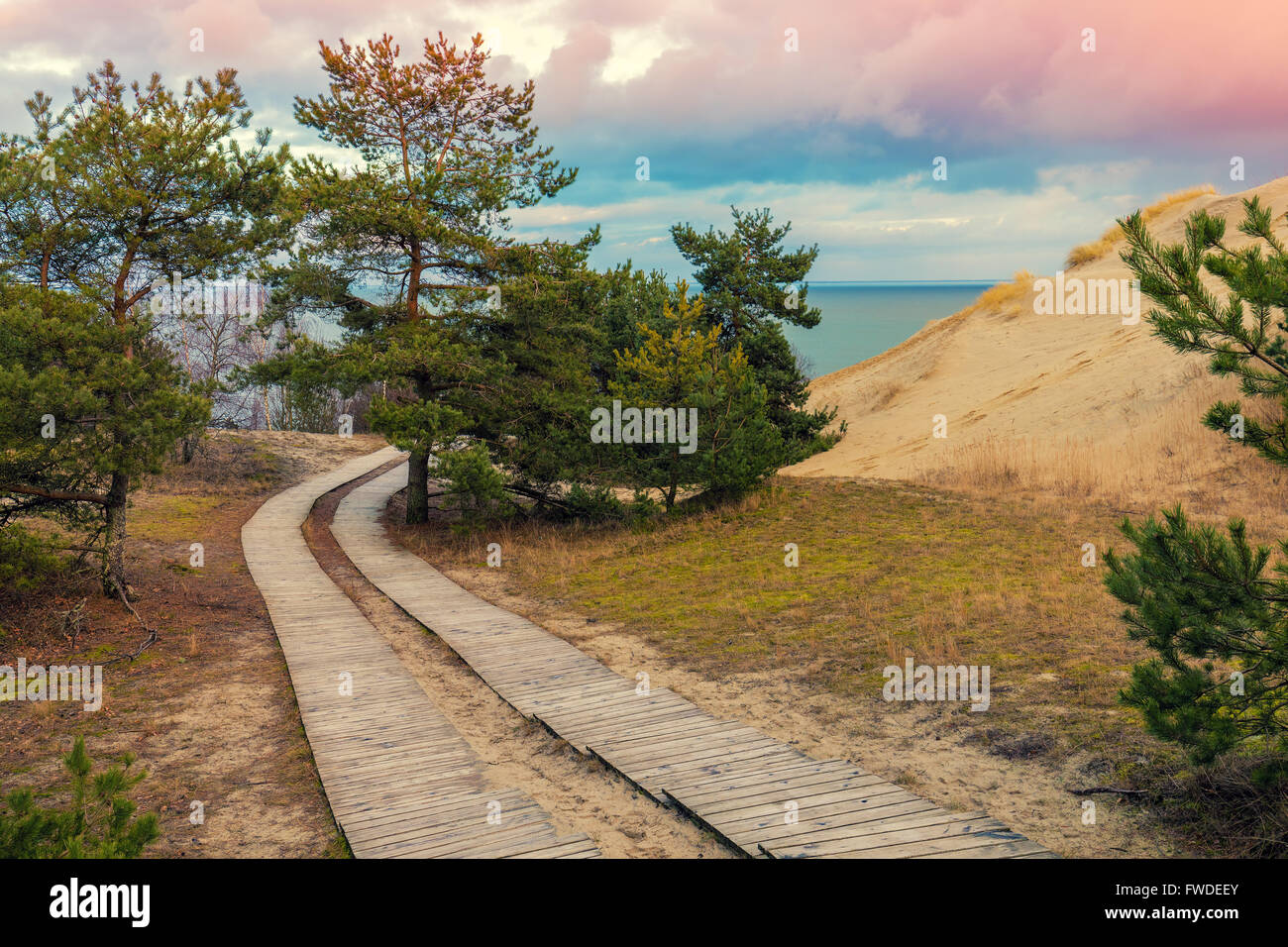 Two pathways hi-res stock photography and images - Alamy