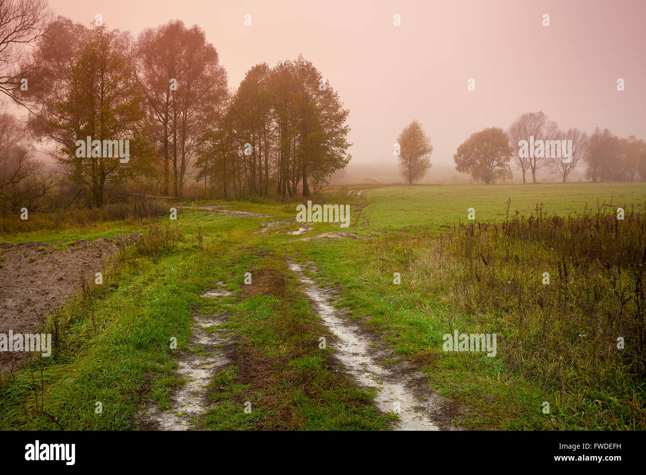Morning in countryside hi-res stock photography and images - Alamy