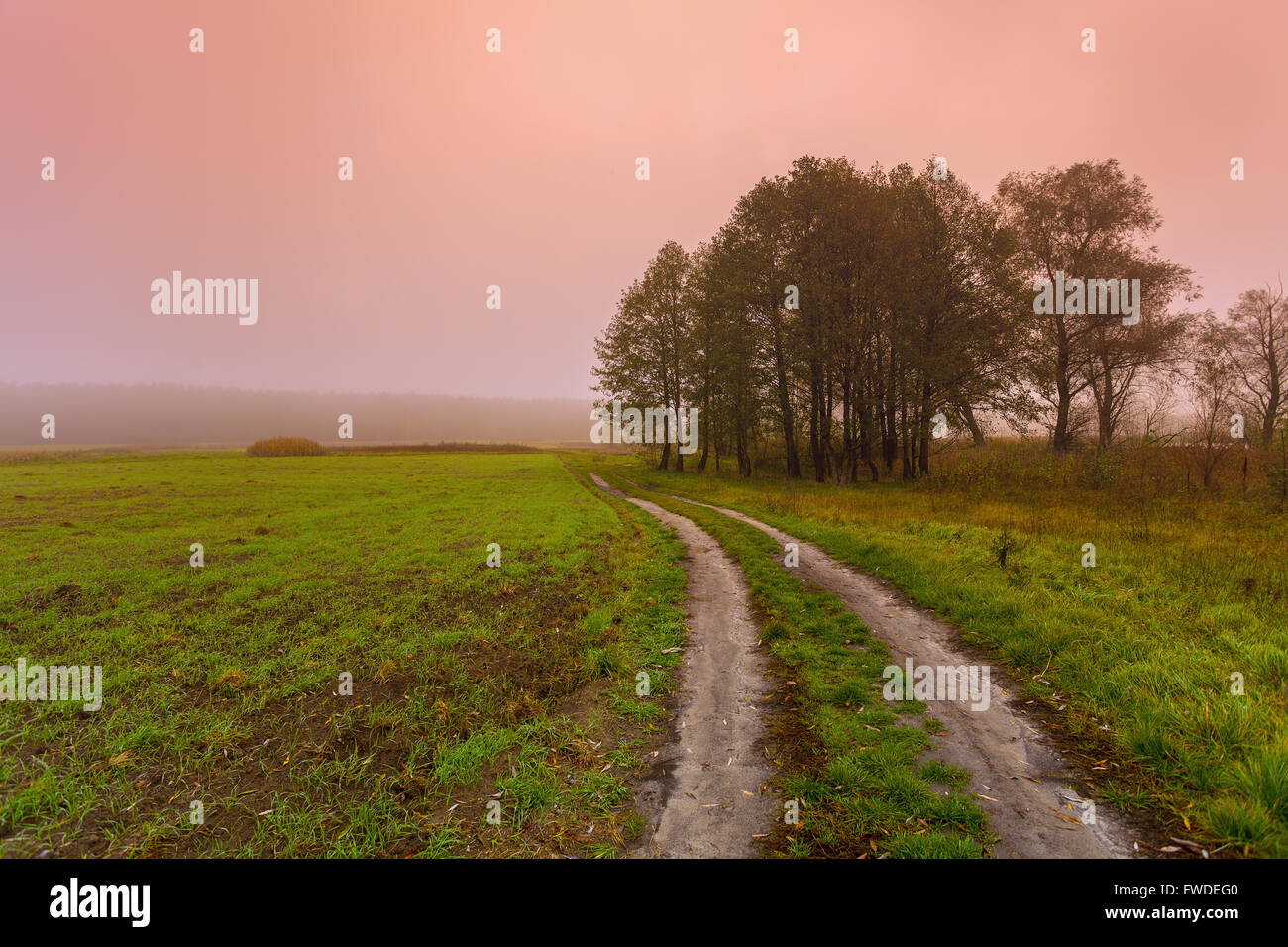Morning in countryside hi-res stock photography and images - Alamy