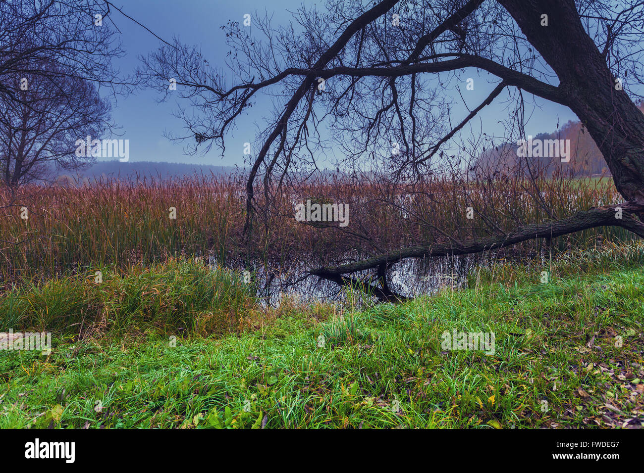 Morning in countryside hi-res stock photography and images - Alamy