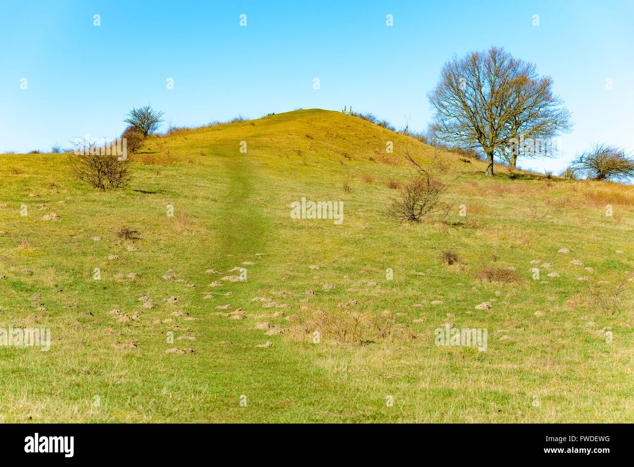 Grass covered hill or mound with trees growing on its slope. Early ...