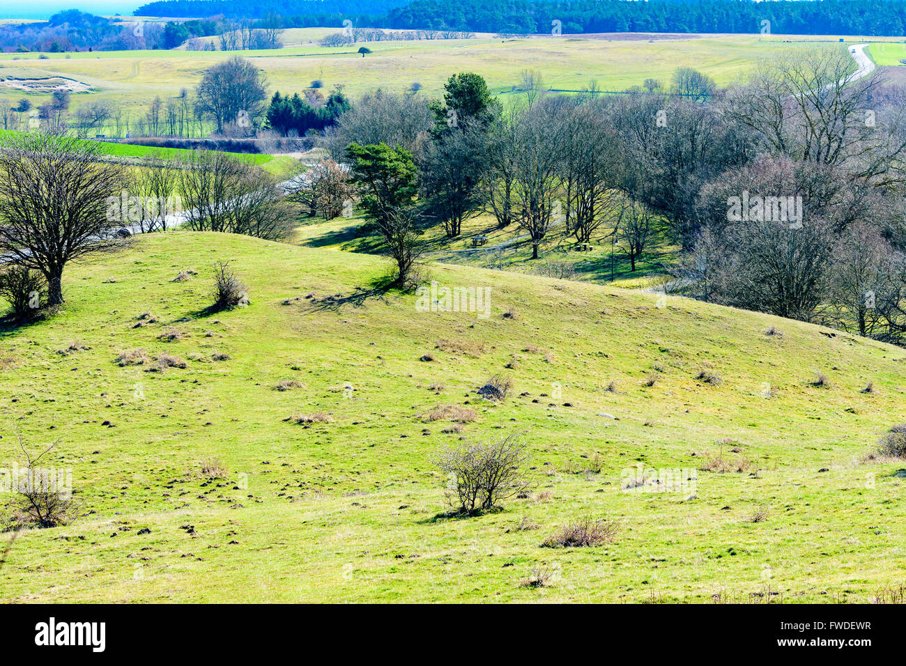 Early spring landscape with hills, forest and farmers fields. Scenic ...