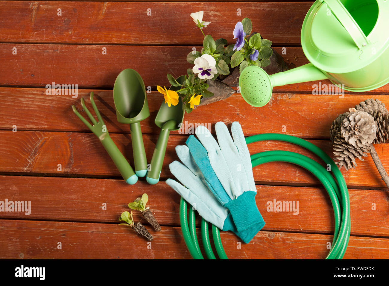 gardening tools in the garden Stock Photo - Alamy