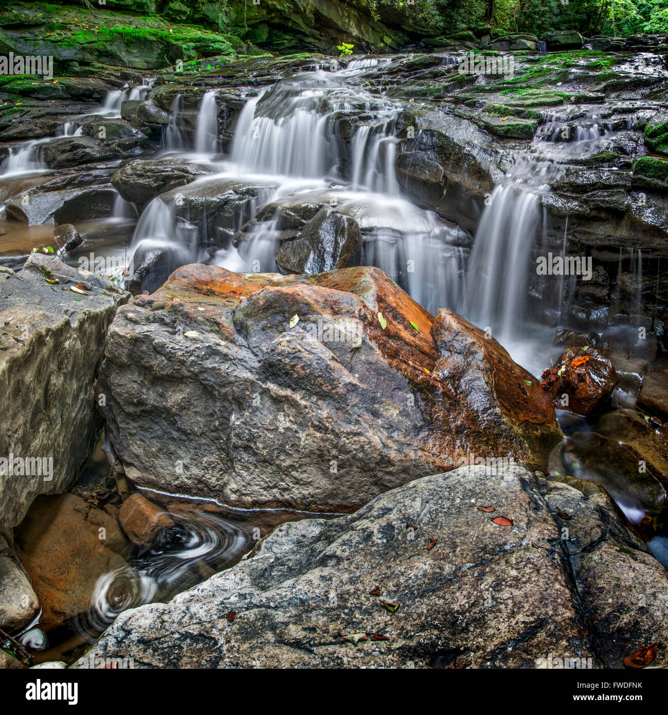 Waterfalls in a creek cascading from a lush green forest, near the ...