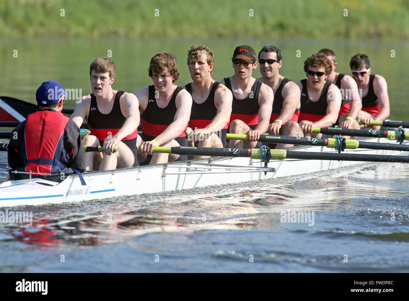 Padraic hi-res stock photography and images - Alamy