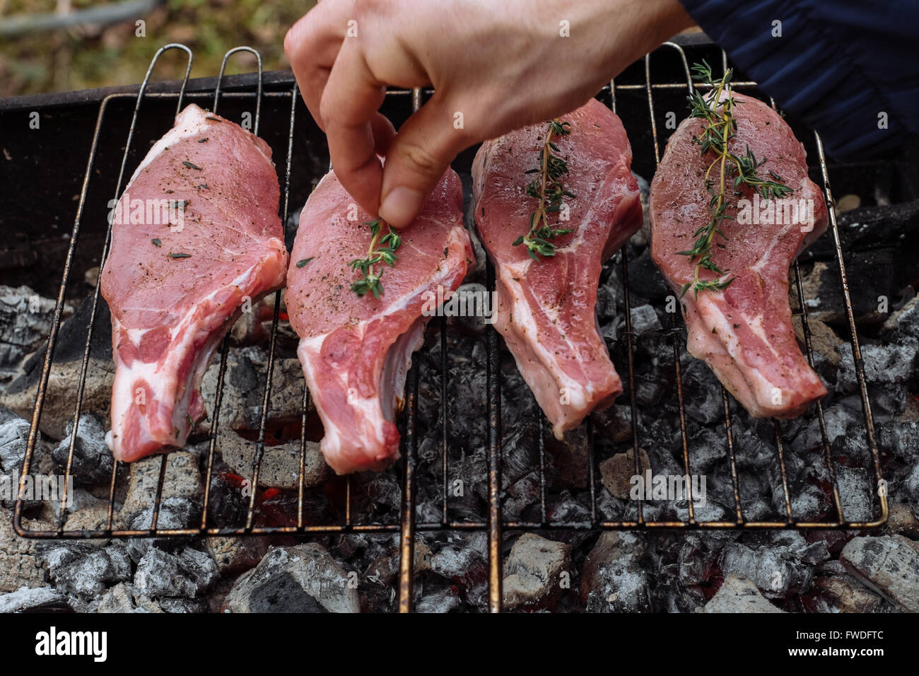 roasting meat on the coals Stock Photo - Alamy