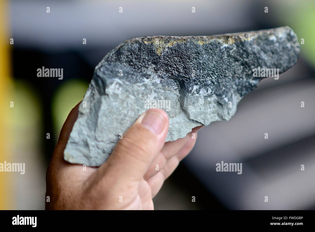 Chicxulub hi-res stock photography and images - Alamy