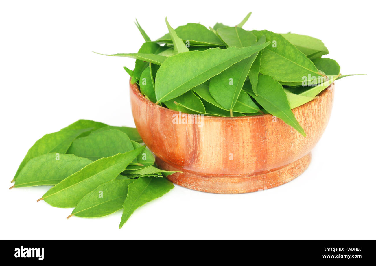 Curry leaves hi-res stock photography and images - Alamy