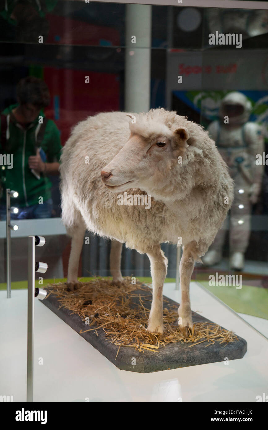 Dolly The Sheep Museum