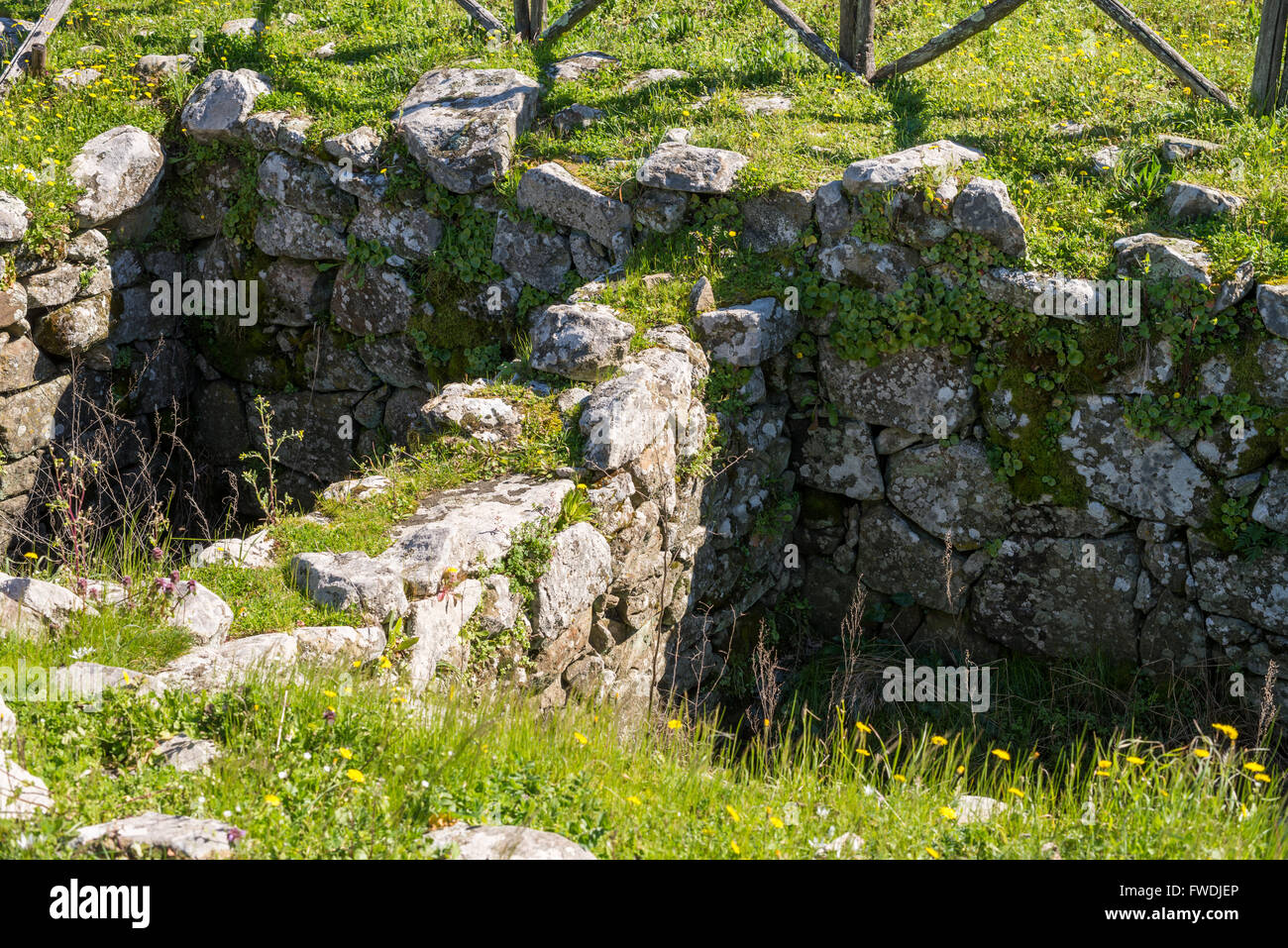 Etrurian ruins, Vetulonia, Tuscany, Italy, EU, Europe Stock Photo - Alamy
